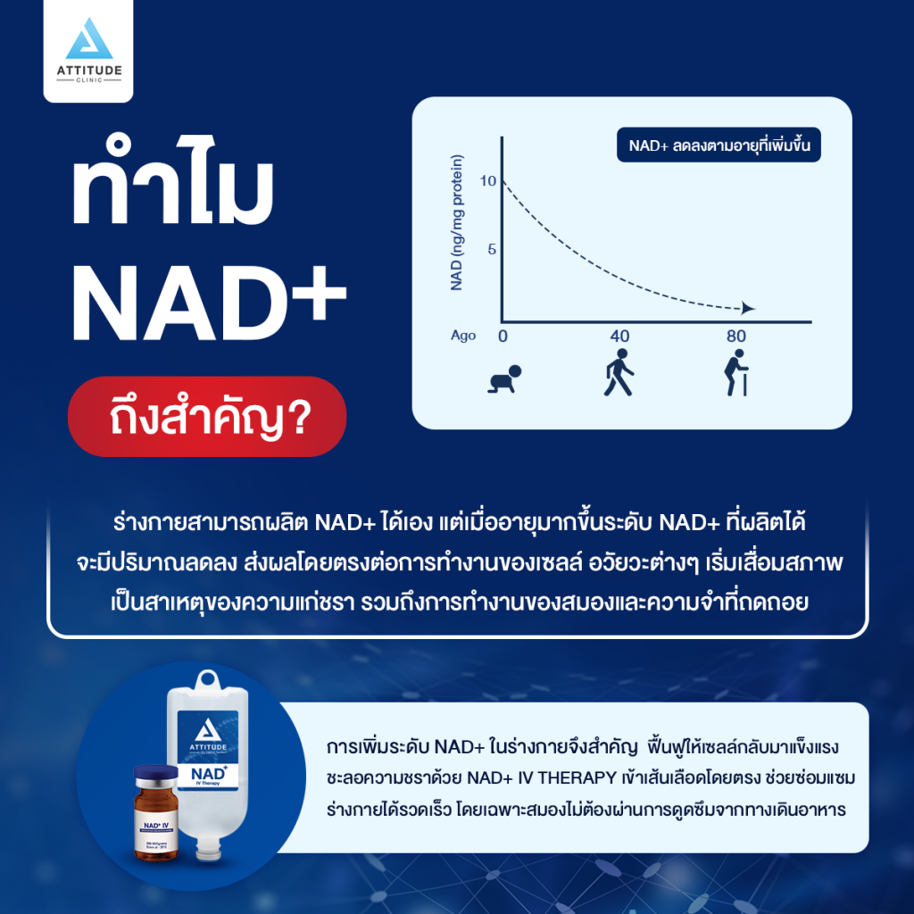 NAD+ ชะลอวัยต้านแก่ นวัตกรรมใหม่ของการดูแลสุขภาพ! คงความอ่อนวัยระดับ ...
